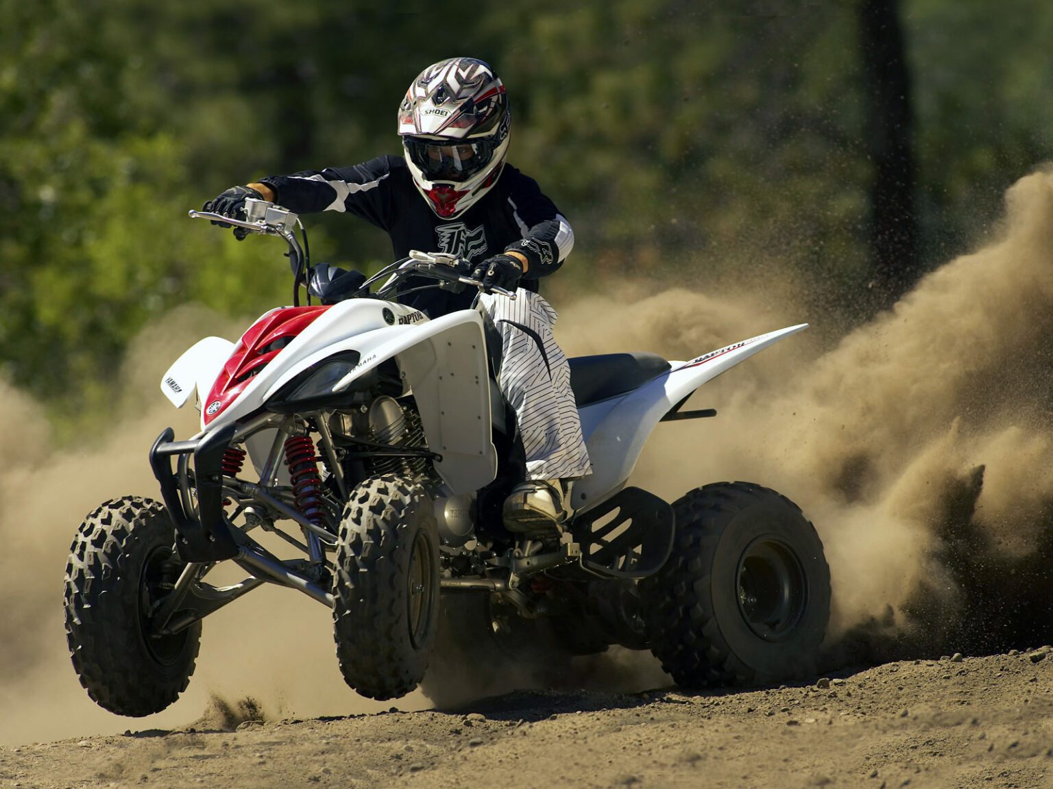 Yamaha Raptor 350 Review, Top Speed, Common Problems